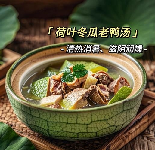 冬瓜老鸭汤怎么做好吃_冬瓜老鸭汤的做法窍门-第3张图片-山城妙识