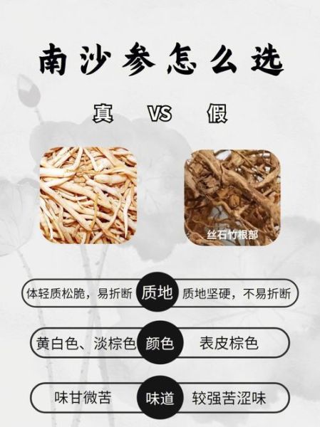 南沙参图片_南沙参的功效与作用-第2张图片-山城妙识