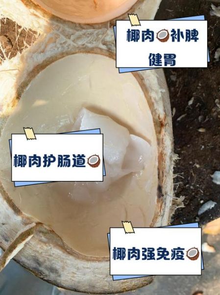 椰子肉的功效与作用禁忌_哪些人不能吃椰子肉-第1张图片-山城妙识