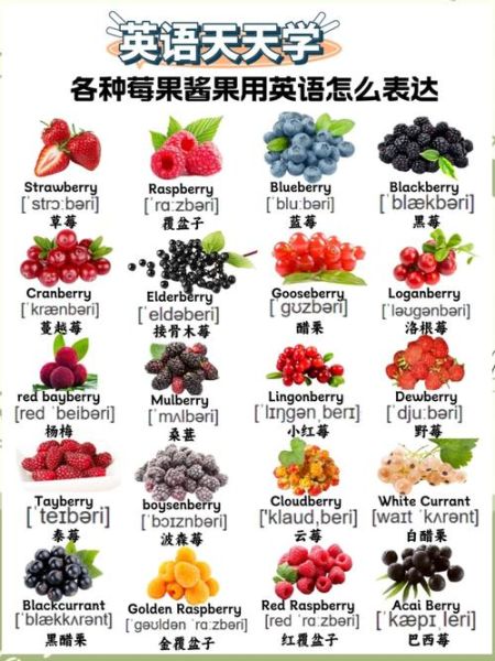 水果的英语单词有哪些_如何快速记忆100个水果英文-第1张图片-山城妙识 水果的英语单词有哪些_如何快速记忆100个水果英文-第1张图片-山城妙识