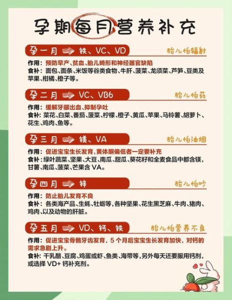 孕妇期间吃什么营养品最好_孕妇营养品推荐-第1张图片-山城妙识