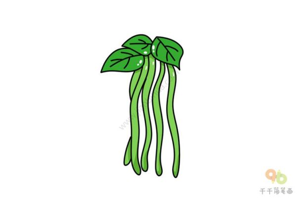 四季豆简笔画怎么画_四季豆简笔画步骤图-第3张图片-山城妙识