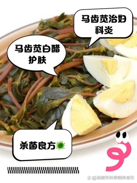 马齿菜白醋治白发真的有用吗_马齿菜白醋怎么使用-第1张图片-山城妙识