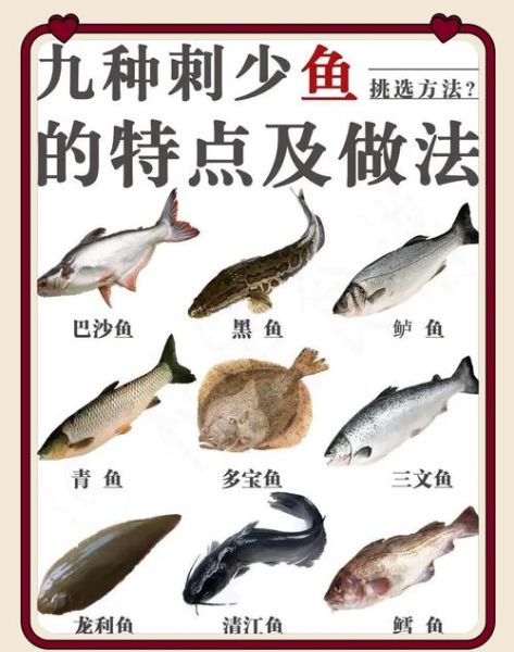 刺少是什么鱼_刺少适合宝宝吃吗-第1张图片-山城妙识 刺少是什么鱼_刺少适合宝宝吃吗-第1张图片-山城妙识