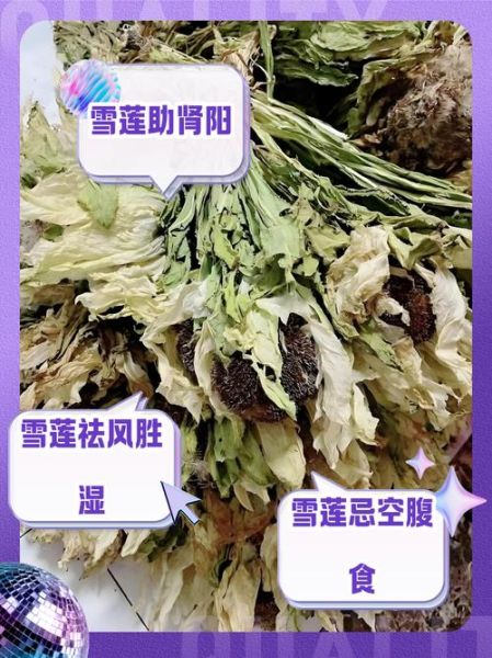 雪莲子功效与禁忌_雪莲子怎么吃最好-第3张图片-山城妙识 雪莲子功效与禁忌_雪莲子怎么吃最好-第3张图片-山城妙识