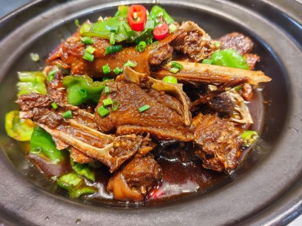 红烧鹅肉怎么做_红烧鹅肉最正宗的做法-第3张图片-山城妙识