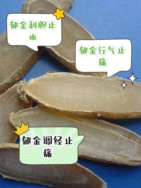 郁金的功效与作用及食用方法_郁金怎么吃效果最好-第2张图片-山城妙识