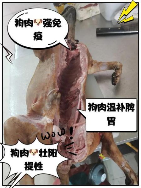 狗肉吃多了有什么副作用_狗肉禁忌人群有哪些-第2张图片-山城妙识 狗肉吃多了有什么副作用_狗肉禁忌人群有哪些-第2张图片-山城妙识