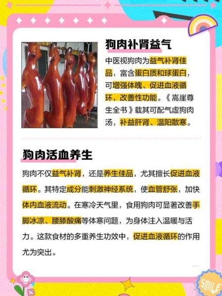 狗肉吃多了有什么副作用_狗肉禁忌人群有哪些-第3张图片-山城妙识 狗肉吃多了有什么副作用_狗肉禁忌人群有哪些-第3张图片-山城妙识