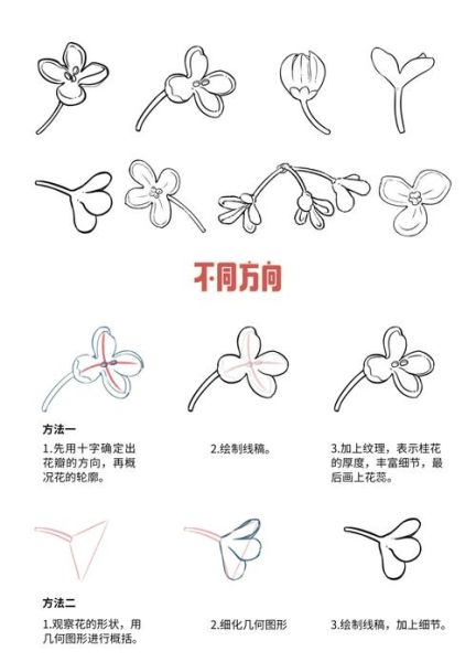 桂花简笔画怎么画_桂花简笔画步骤-第2张图片-山城妙识