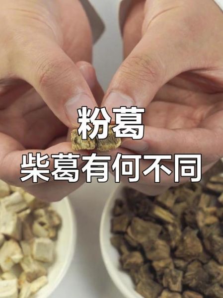 粉葛根与柴葛根哪个好_功效区别与选购指南-第2张图片-山城妙识