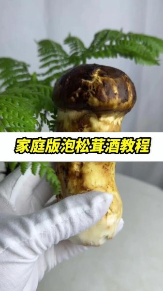 干松茸怎么吃_干松茸泡发技巧-第3张图片-山城妙识