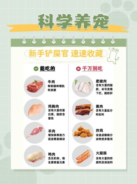 猫肉为什么不能吃_猫肉吃了有什么危害-第2张图片-山城妙识