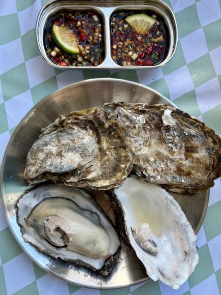 生蚝怎么做好吃又营养_生蚝怎么保存最新鲜-第2张图片-山城妙识 生蚝怎么做好吃又营养_生蚝怎么保存最新鲜-第2张图片-山城妙识