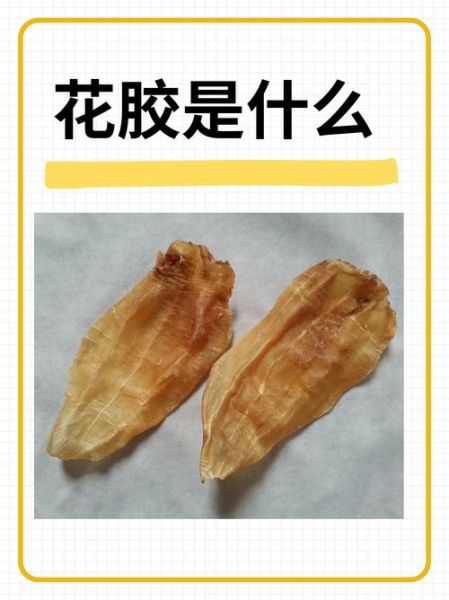 花胶和鱼胶的区别_哪个更滋补-第1张图片-山城妙识
