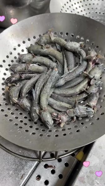 跳鱼儿是什么_跳鱼儿怎么养-第1张图片-山城妙识