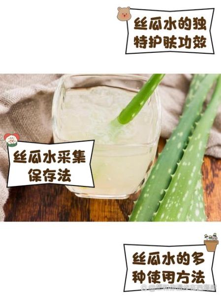 自制丝瓜水要注意什么_丝瓜水保存多久-第1张图片-山城妙识