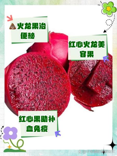 红肉火龙果的功效与作用_红肉火龙果能减肥吗-第1张图片-山城妙识 红肉火龙果的功效与作用_红肉火龙果能减肥吗-第1张图片-山城妙识
