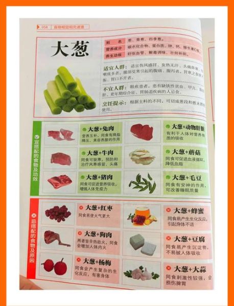 大葱的功效与禁忌_哪些人不能吃大葱-第1张图片-山城妙识