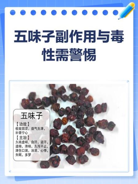 五味子副作用_五味子毒性大吗-第1张图片-山城妙识