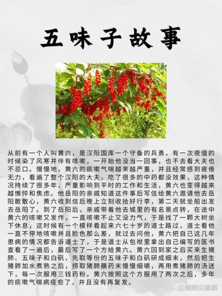 五味子副作用_五味子毒性大吗-第2张图片-山城妙识