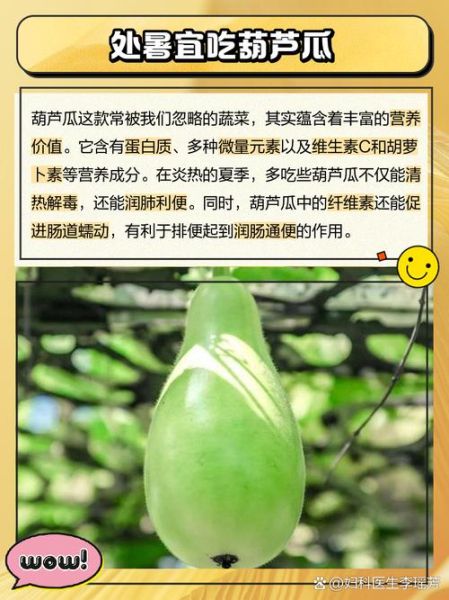 处暑吃什么蔬菜_处暑养生蔬菜推荐-第2张图片-山城妙识 处暑吃什么蔬菜_处暑养生蔬菜推荐-第2张图片-山城妙识
