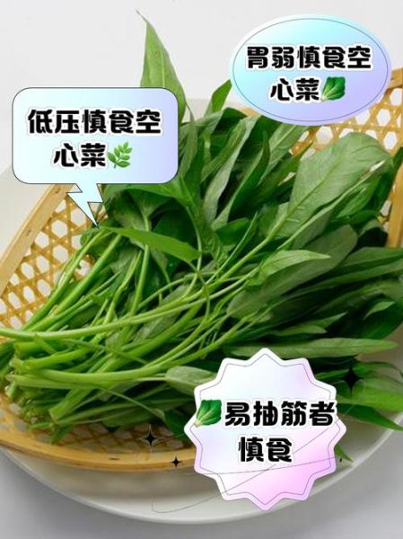 空心菜什么人不能吃_空心菜禁忌人群有哪些-第2张图片-山城妙识 空心菜什么人不能吃_空心菜禁忌人群有哪些-第2张图片-山城妙识