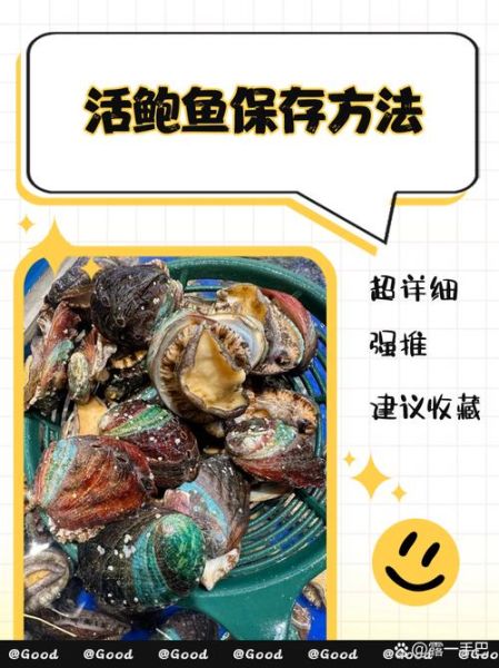 活鲍鱼怎么处理_活鲍鱼怎么清洗-第2张图片-山城妙识 活鲍鱼怎么处理_活鲍鱼怎么清洗-第2张图片-山城妙识
