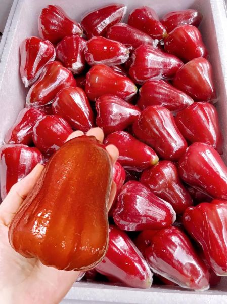 莲雾图片_莲雾怎么挑选-第3张图片-山城妙识