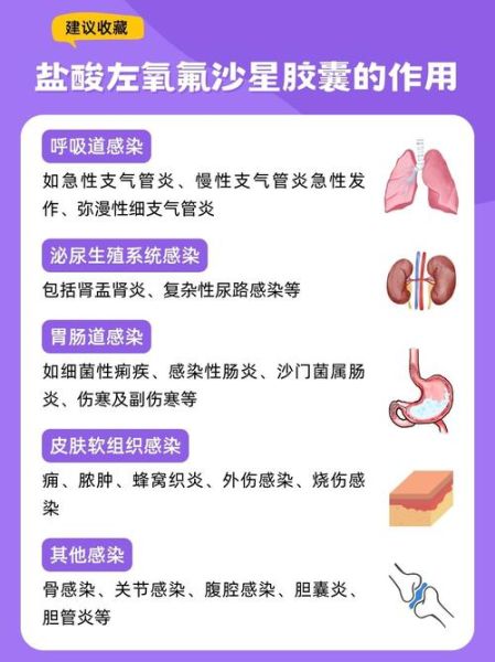 盐酸左氧氟沙星胶囊怎么吃_盐酸左氧氟沙星胶囊副作用-第2张图片-山城妙识