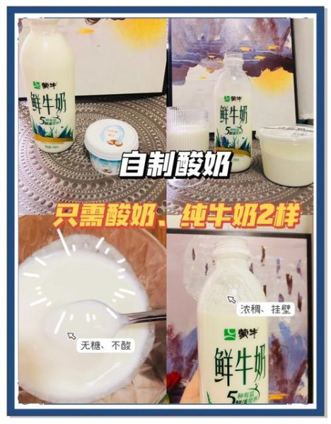 酸奶的制作过程_自制酸奶需要哪些材料-第3张图片-山城妙识 酸奶的制作过程_自制酸奶需要哪些材料-第3张图片-山城妙识