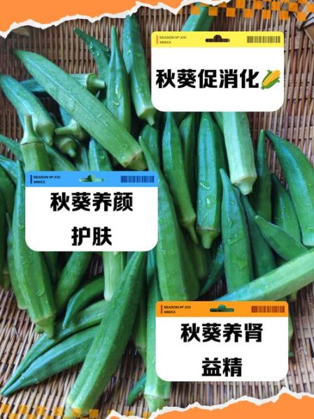 秋葵干有什么功效_秋葵干怎么吃最好-第1张图片-山城妙识 秋葵干有什么功效_秋葵干怎么吃最好-第1张图片-山城妙识