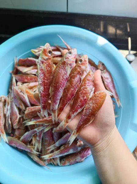 生晒鱼干怎么做_鱼干晒制技巧-第2张图片-山城妙识 生晒鱼干怎么做_鱼干晒制技巧-第2张图片-山城妙识