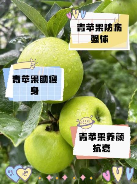 青苹果的功效与作用_青苹果能减肥吗-第1张图片-山城妙识