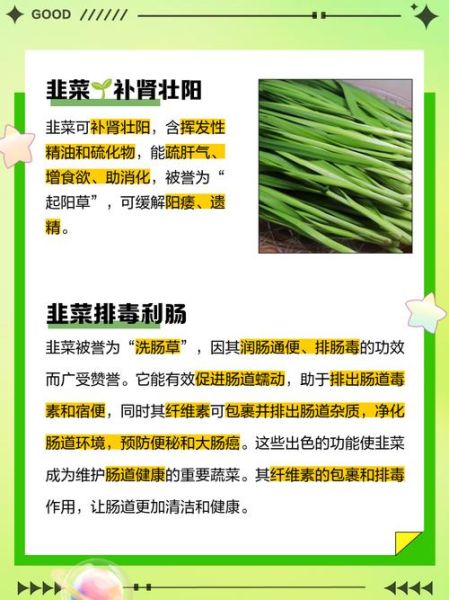 韭菜的功效与作用_韭菜壮阳是真的吗-第1张图片-山城妙识