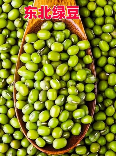 绿豆图片高清_如何拍摄细节纹理-第3张图片-山城妙识 绿豆图片高清_如何拍摄细节纹理-第3张图片-山城妙识