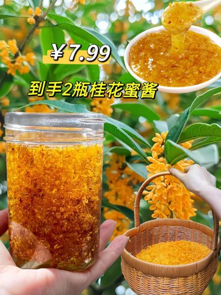 新鲜桂花可以做什么_新鲜桂花怎么吃-第1张图片-山城妙识 新鲜桂花可以做什么_新鲜桂花怎么吃-第1张图片-山城妙识