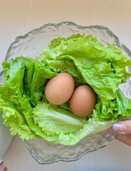 吃一个月生菜能瘦多少_生菜减肥真实效果-第2张图片-山城妙识