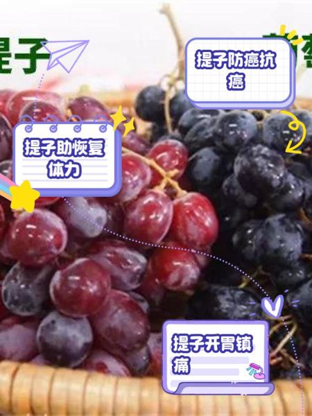 葡萄和提子哪个营养价值高_区别与功效全解析-第3张图片-山城妙识