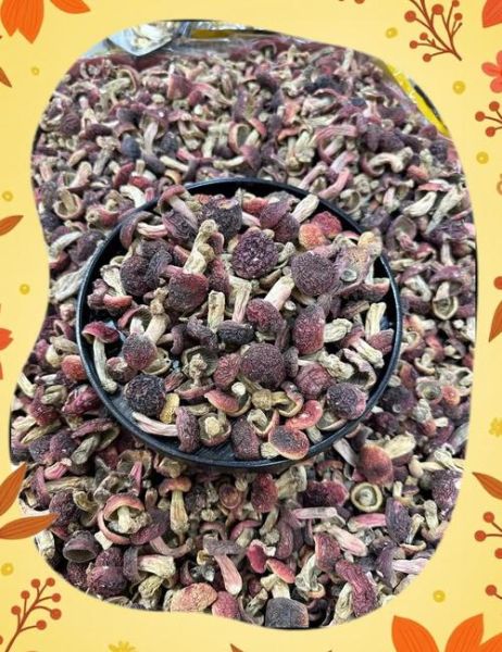 干红菇怎么泡发_干红菇的做法大全-第2张图片-山城妙识