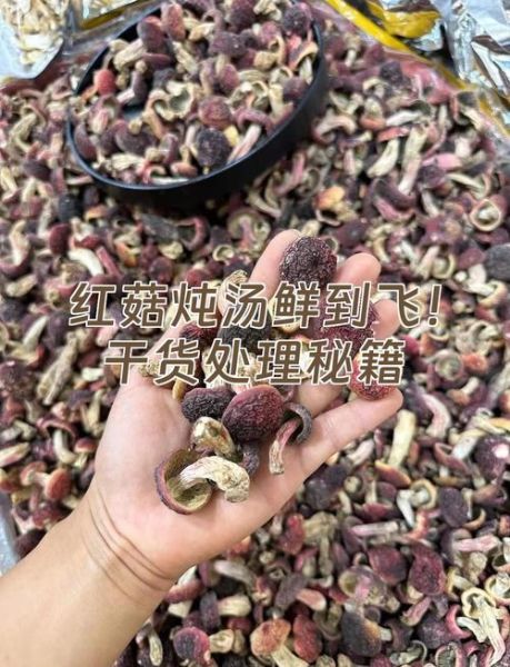 干红菇怎么泡发_干红菇的做法大全-第1张图片-山城妙识
