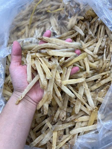 夏季煲汤清火的药材有哪些_哪些药材煲汤最降火-第2张图片-山城妙识 夏季煲汤清火的药材有哪些_哪些药材煲汤最降火-第2张图片-山城妙识