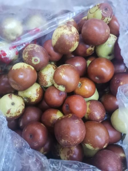 冬枣价格是多少钱一斤_冬枣多少钱一斤2024最新行情-第2张图片-山城妙识