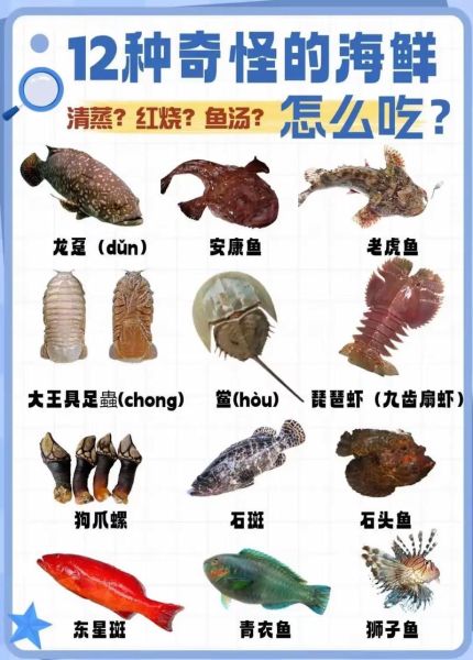 小海鲜有哪些品种_常见小海鲜种类大全-第2张图片-山城妙识
