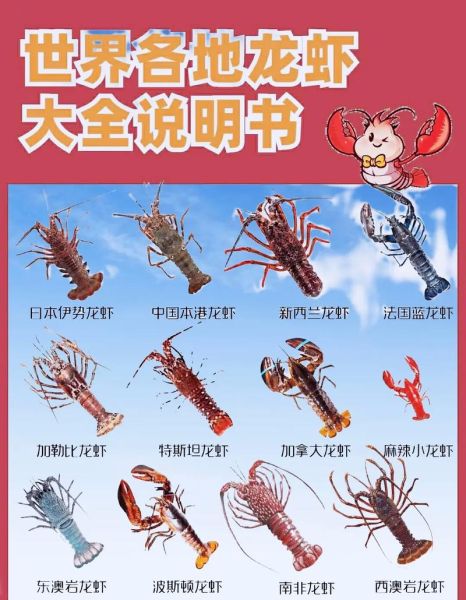 小海鲜有哪些品种_常见小海鲜种类大全-第3张图片-山城妙识