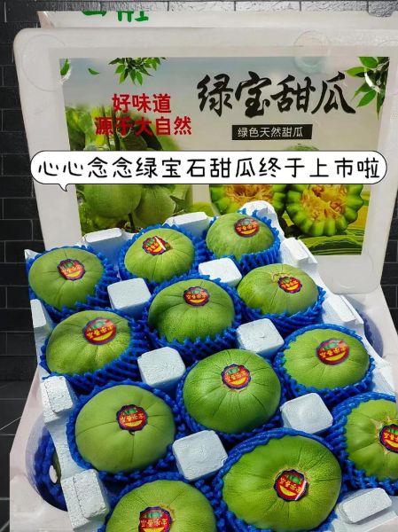 绿皮甜瓜的功效与作用禁忌_什么人不能吃绿皮甜瓜-第2张图片-山城妙识