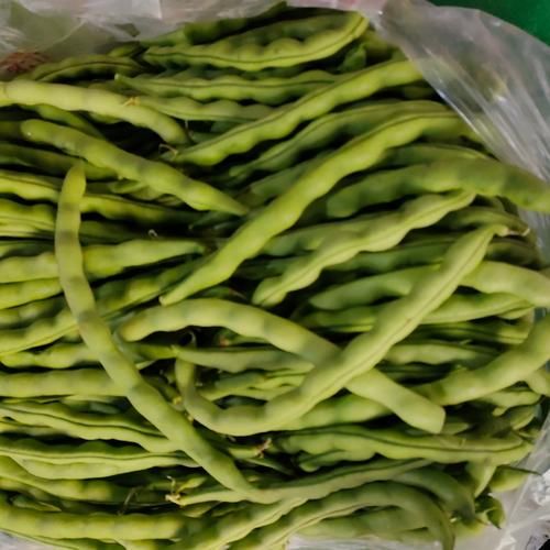芸豆长什么样_芸豆和四季豆的区别-第3张图片-山城妙识 芸豆长什么样_芸豆和四季豆的区别-第3张图片-山城妙识