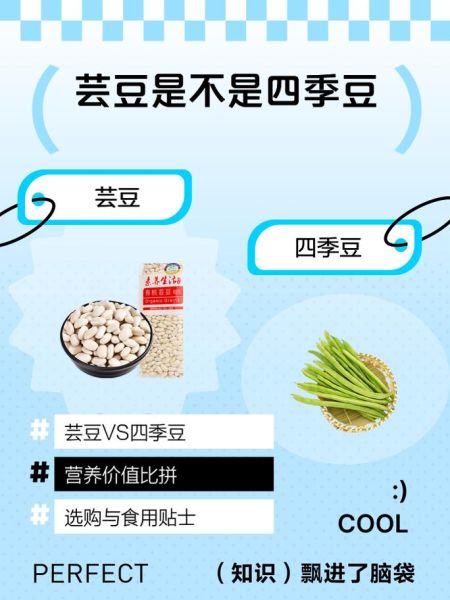 芸豆长什么样_芸豆和四季豆的区别-第2张图片-山城妙识 芸豆长什么样_芸豆和四季豆的区别-第2张图片-山城妙识
