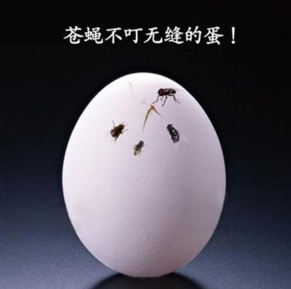 苍蝇不叮无缝的蛋是什么意思_如何避免被苍蝇盯上-第1张图片-山城妙识 苍蝇不叮无缝的蛋是什么意思_如何避免被苍蝇盯上-第1张图片-山城妙识