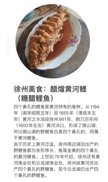 糖醋黄河鲤鱼怎么做_正宗糖醋汁比例是多少-第1张图片-山城妙识